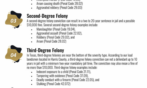 Interesting facts about Cats | uCollect Infographics